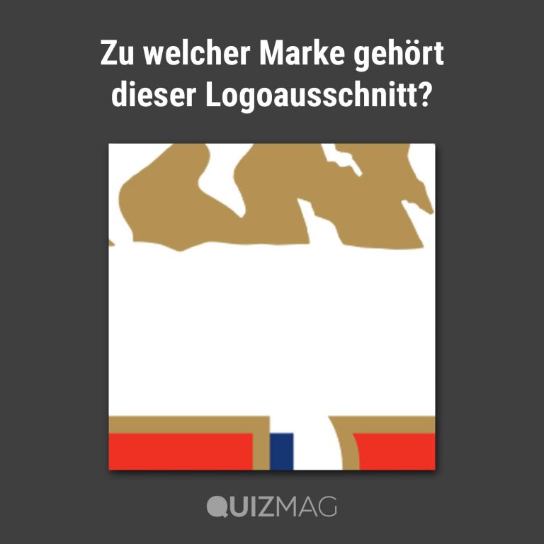 Na, Logo? #2 - QUIZmag: Individuelle Rätsel erstellen lassen